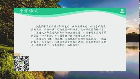 部编版三年级语文下册特级教师精讲4燕子(第二课时)同步课程