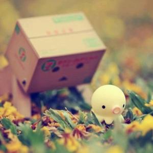 朝生暮死又一生 