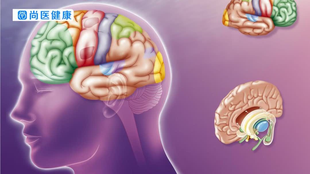 脑血管狭窄到底是这样形成的?这才是诱发脑血管狭窄的真凶!