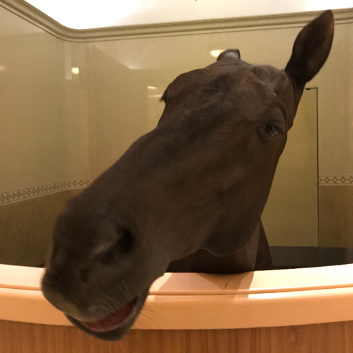 木头桌子的狂想曲 