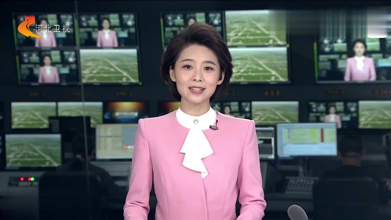 河北:强化田间管理保障夏粮丰收