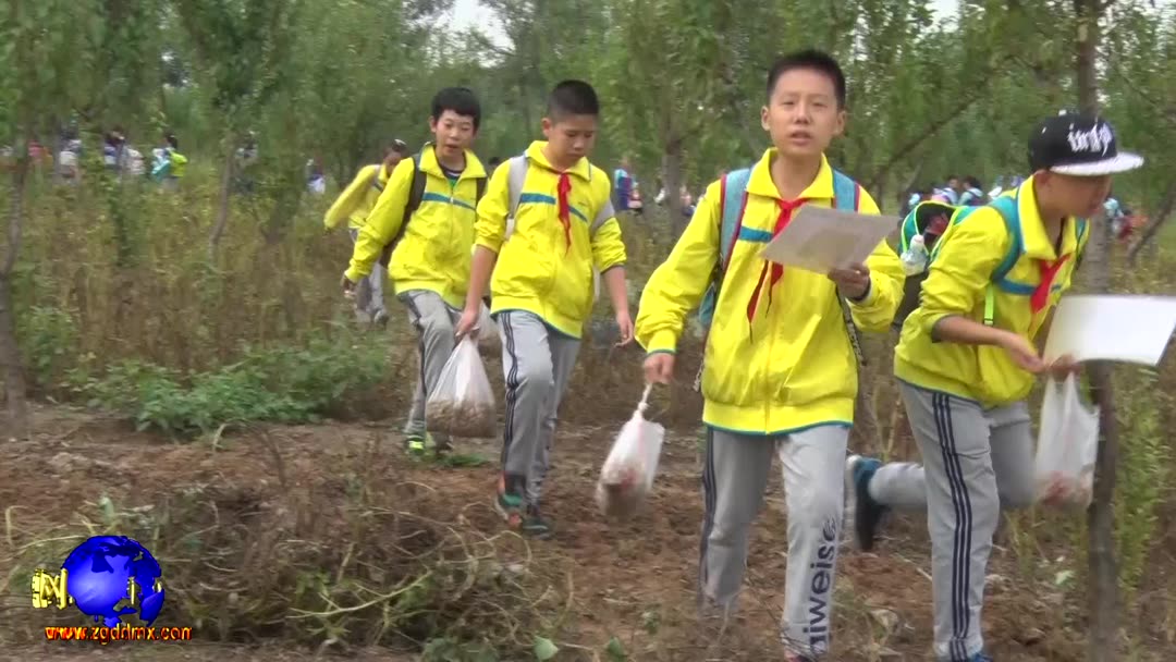 革新里小学开展社会素养课程的学习