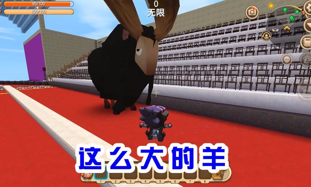 迷你世界:宠物大比拼,这么大的一只羊是有多能吃呀