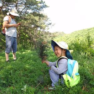 小松爸爸家 