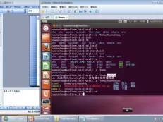 linux基础命令3