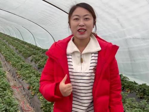 新农人计划2023媳妇摆摊卖草莓,竟接了个1000斤的大订单