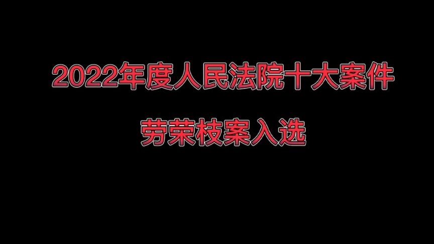 2022年有哪些十大案件