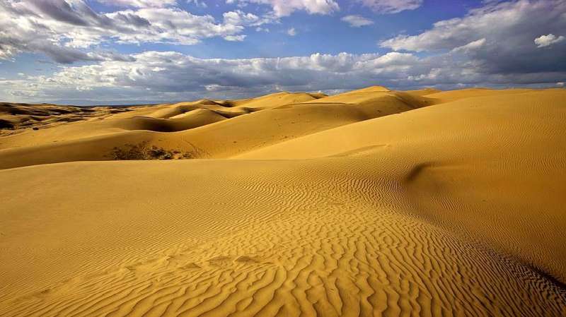 为什么不能把沙漠变成森林?科学家给出这样的解释