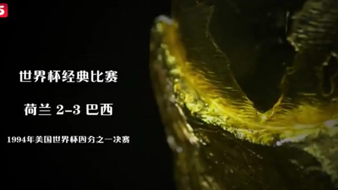 《世界杯经典比赛》1994年世界杯四分之一决赛:荷兰2-3巴西