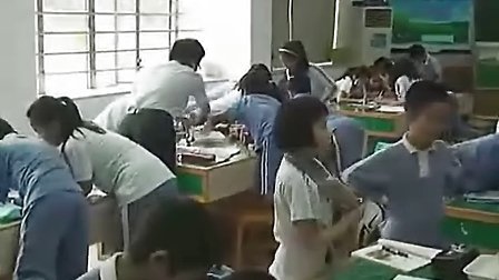 导体与绝缘体 科教版 小学科学四年级科学优秀课优质课课堂教学案例...
