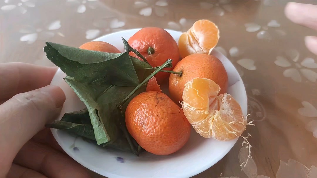 橘子叶别扔,它好处可不少,我来告诉你价值,希望你能重视它