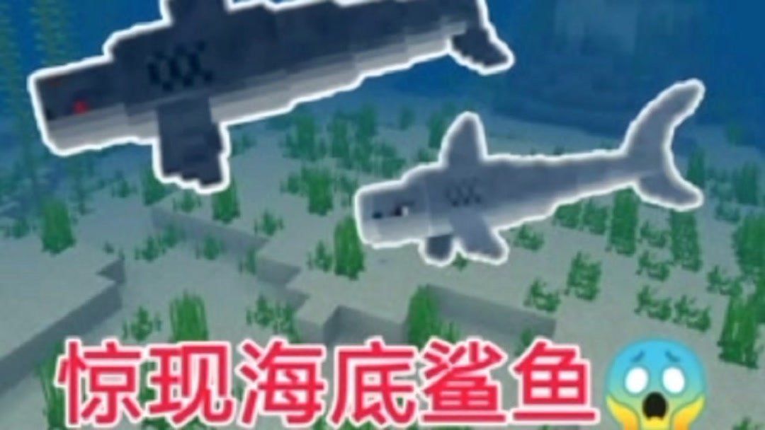 我的世界:惊现海底鲨鱼这是全新的海底神殿守护者吗?