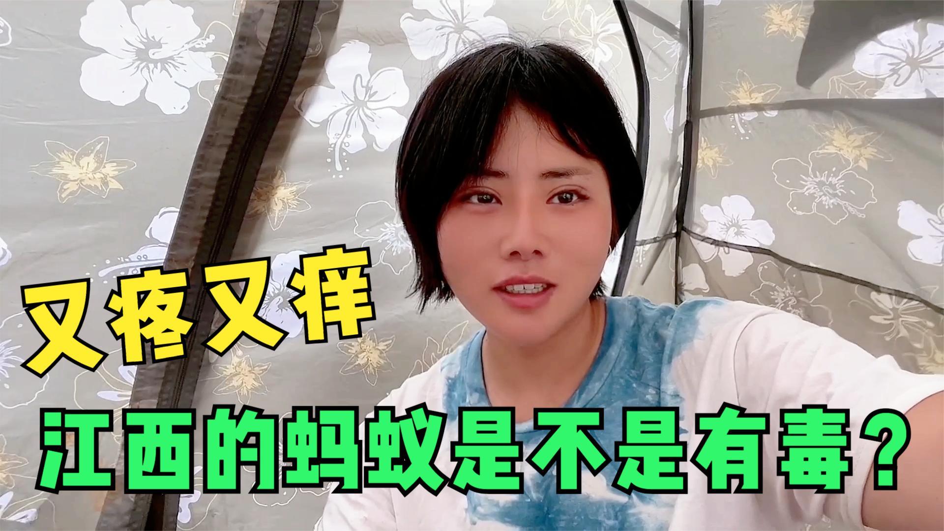 被蚂蚁咬了一口,现在整条腿又痛又痒,江西的蚂蚁难道真的有毒吗