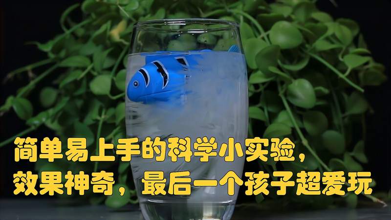 简单易上手的科学小实验,效果神奇,最后一个孩子超爱玩