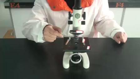 2.认识显微镜的结构