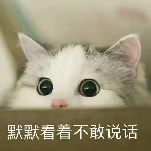 梦里常见面 