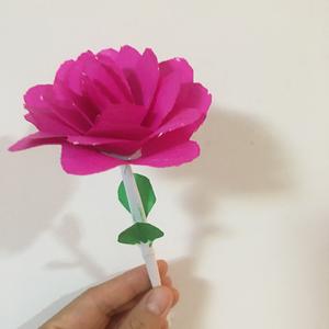 上进的小仙女姐姐 