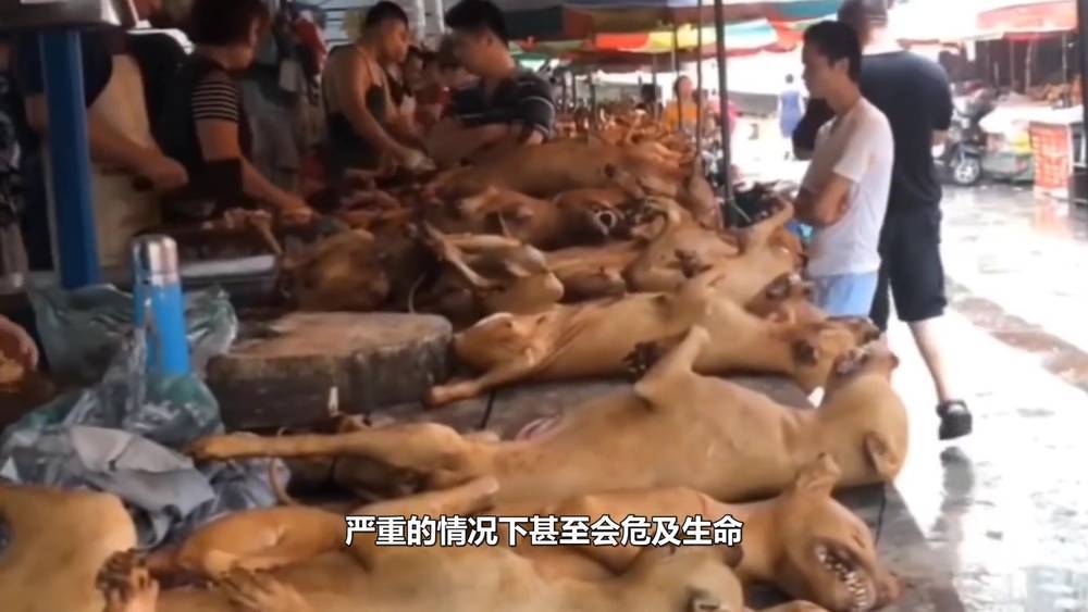 小夫妻双双中毒,只因绿豆和它一起吃,饮食搭配的禁忌