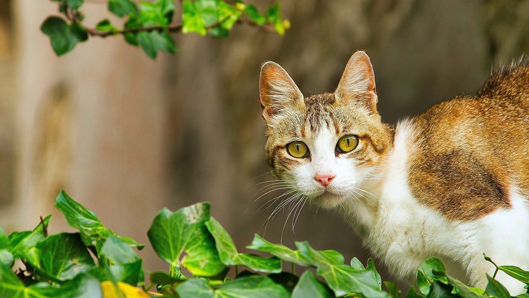 Excel综合应用(43):快速选择多个图形的小技巧