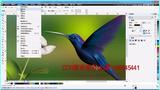 CDR教程CorelDRAW入门到精通CDR自学教程CDR插画设计CDR平面...