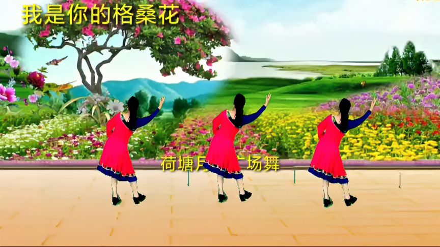 广场舞《我是你的格桑花》动作优美大气,背面演示