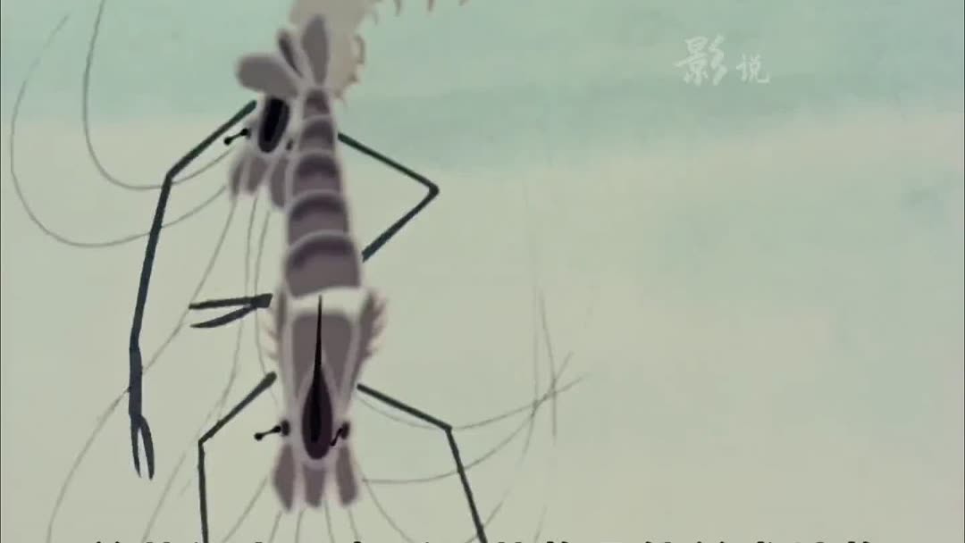 中国第一部水墨动画,在国际上获奖无数