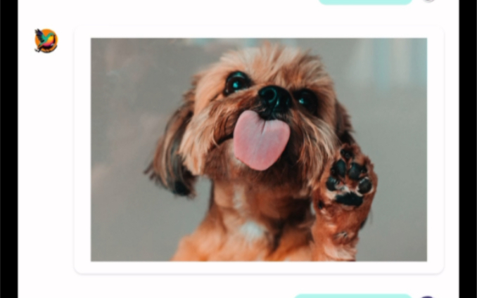 人工智能聊天软件,自动生成图片,chatgpt ai生图,免费文艺娱乐创作。