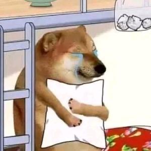 番茄1477351079411991 