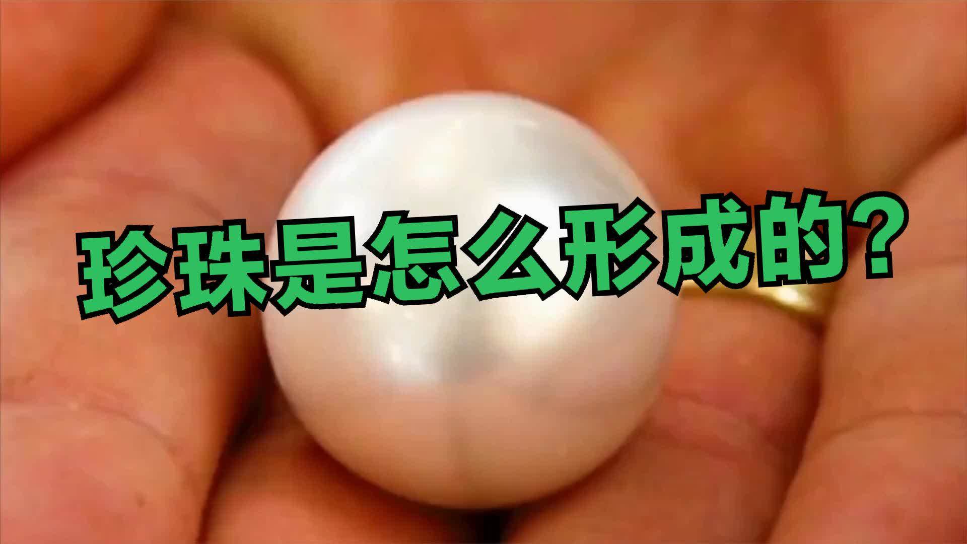 珍珠是怎么形成的？