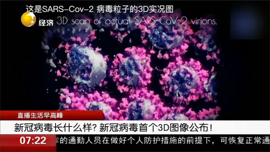 新冠病毒长什么样?新冠病毒首个3D图像公布