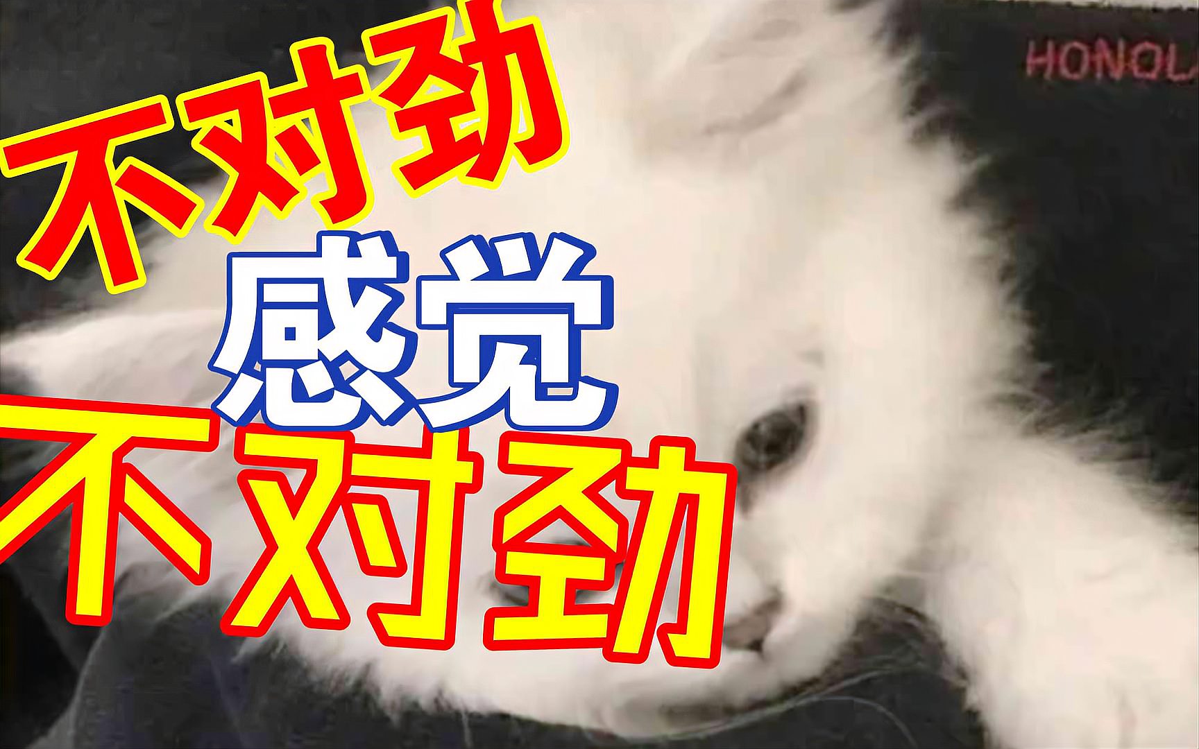 【七九班】高端的班刊设计往往只需要…