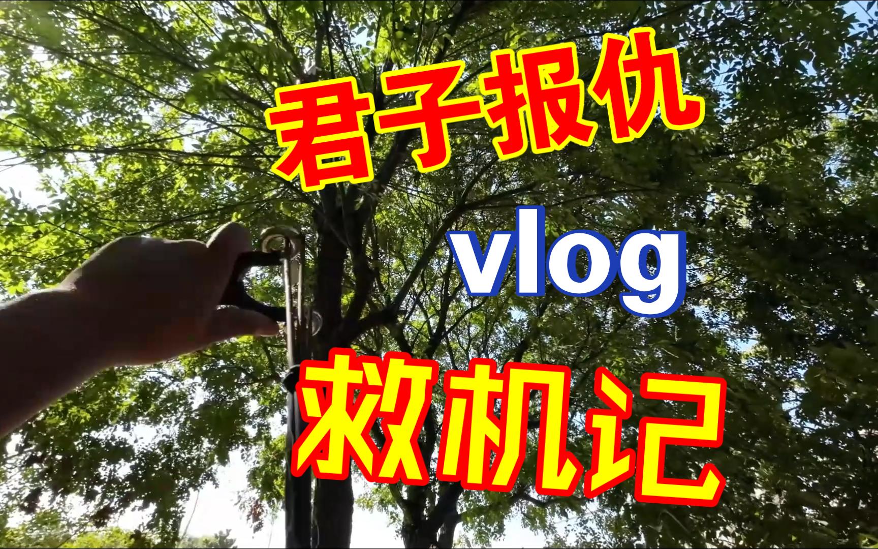 救机记vlog 这是一个悲伤的故事 昨天飞机上树了 必须报仇 拿出我的...
