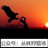 丛林狩猎场 