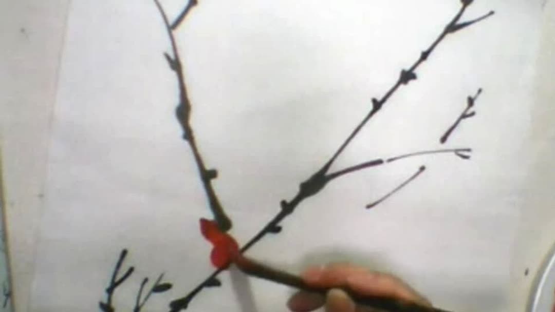 中国画梅花的画法技法教学视频 点梅O