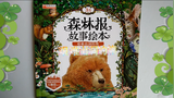 森林报故事绘本艰难出洞的熊