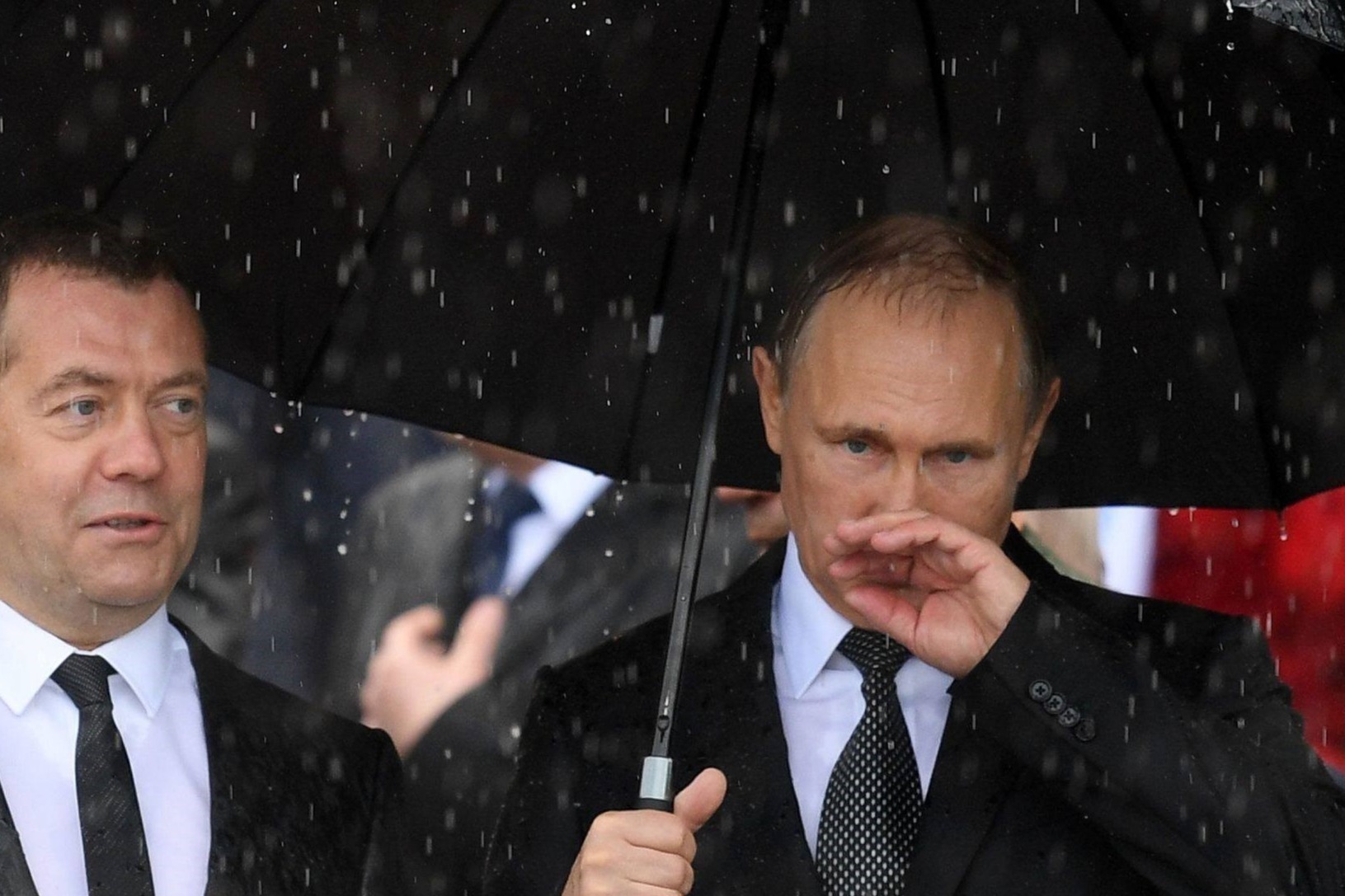 落入普京设置的陷阱?俄国撤军原因果然不简单,基辅正被拖入深渊