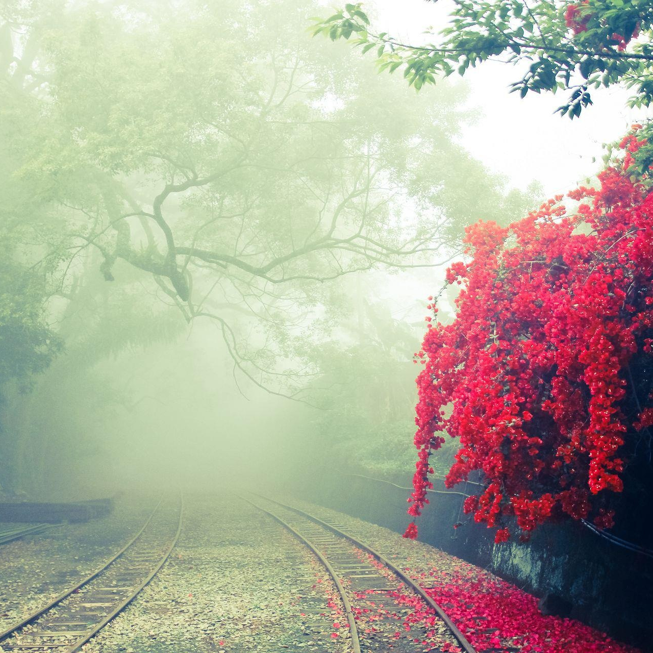 门口聚集和苦瓜 