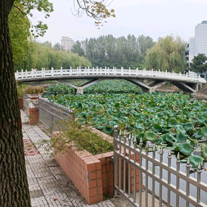豫东冯老二 