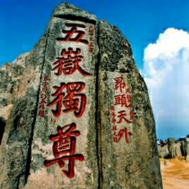 哈哈豆豆89 
