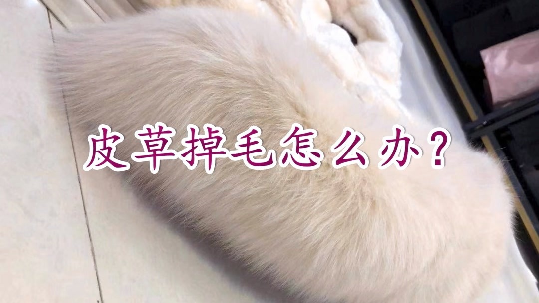 买回家的皮草衣服,如何处理才能避免掉毛