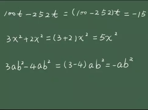 壮哥小课堂 初中数学 第十课 整式和整式的加减