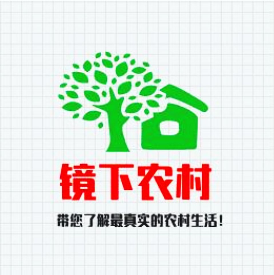 镜下农村曹哥 
