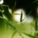 可为的妈 