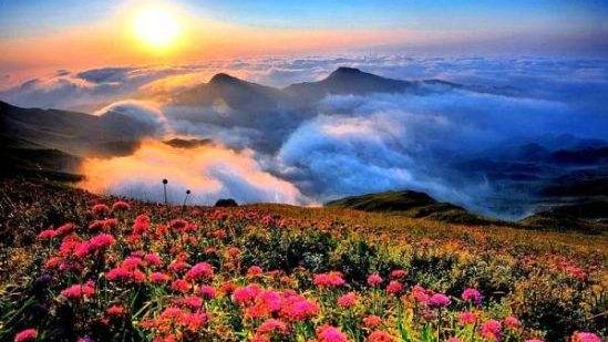 洞天福地,花海毕节,贵州毕节旅游宣传片!