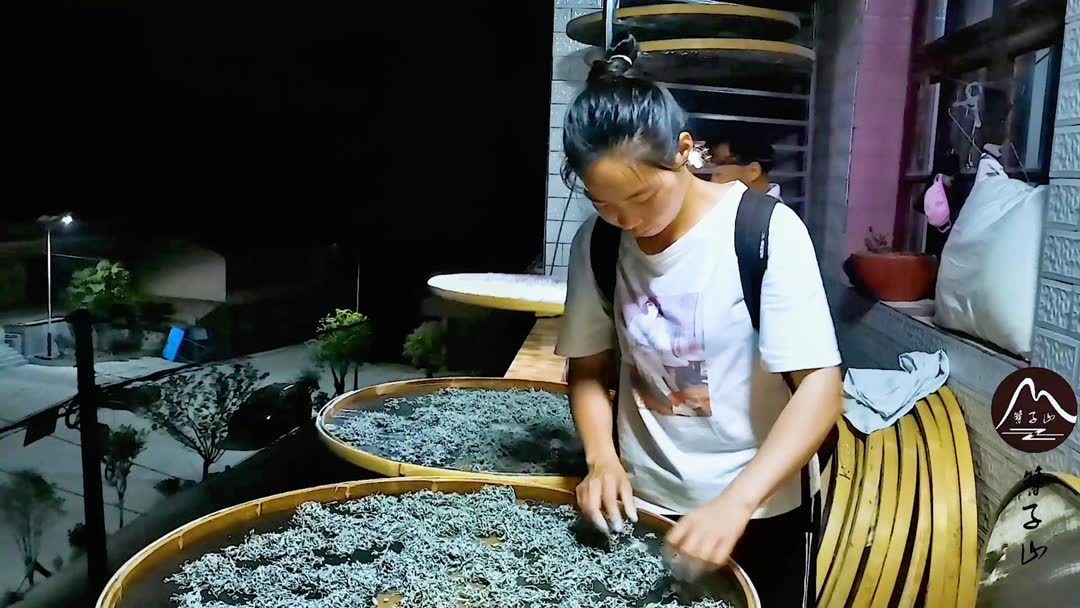 湘西被称为“神茶”的莓茶,黄铜含量最高植物,真的神奇的功效吗