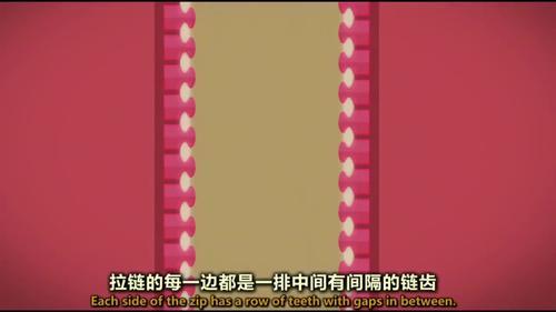 拉链的工作原理,这个动画解释的直观明了