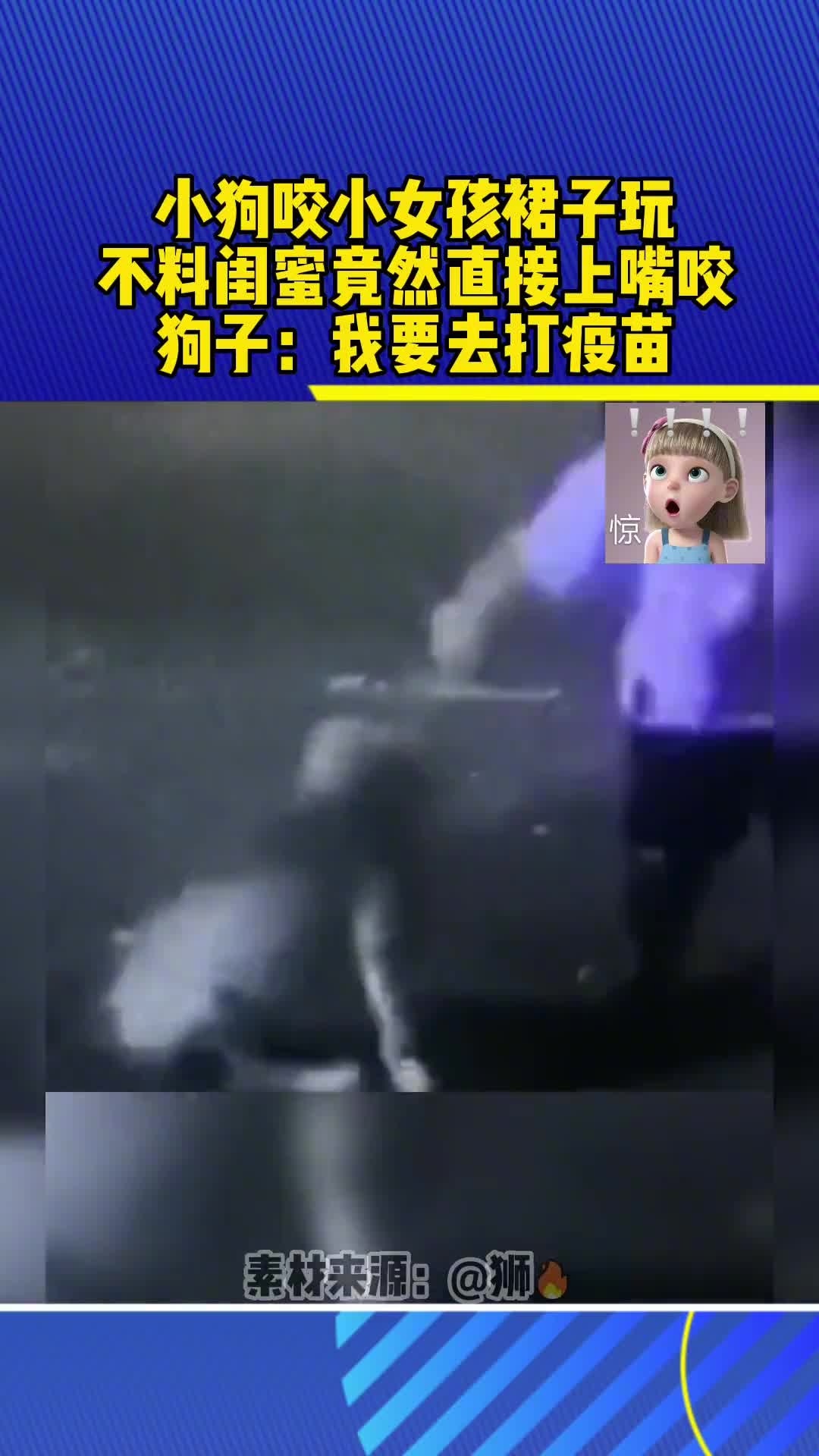 小狗咬小女孩裙子玩,不料闺蜜直接上嘴咬,狗子:我要去打疫苗!