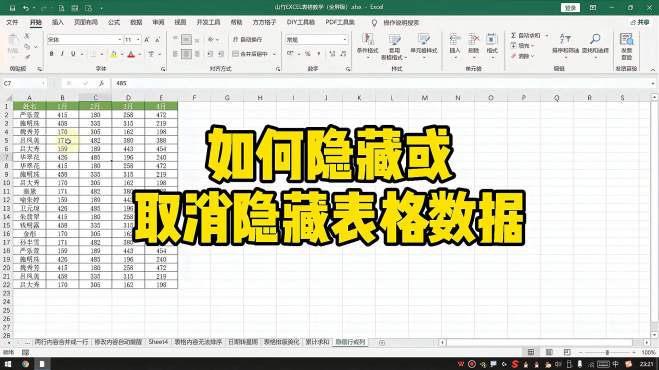 如何隐藏或取消隐藏表格数据