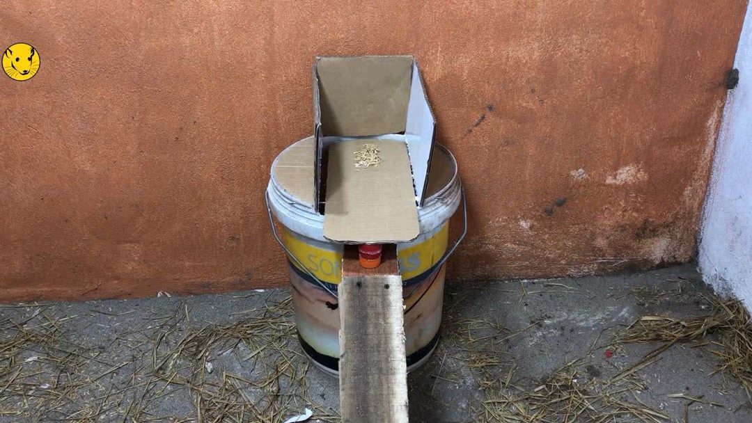 农村小伙用水桶制作的捕鼠器一会儿就抓了半桶,太实用了