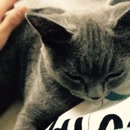 黑白的笔谈娱乐 